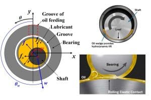 Motor Bearing Lubrication Guide: Science & Practices | TFL